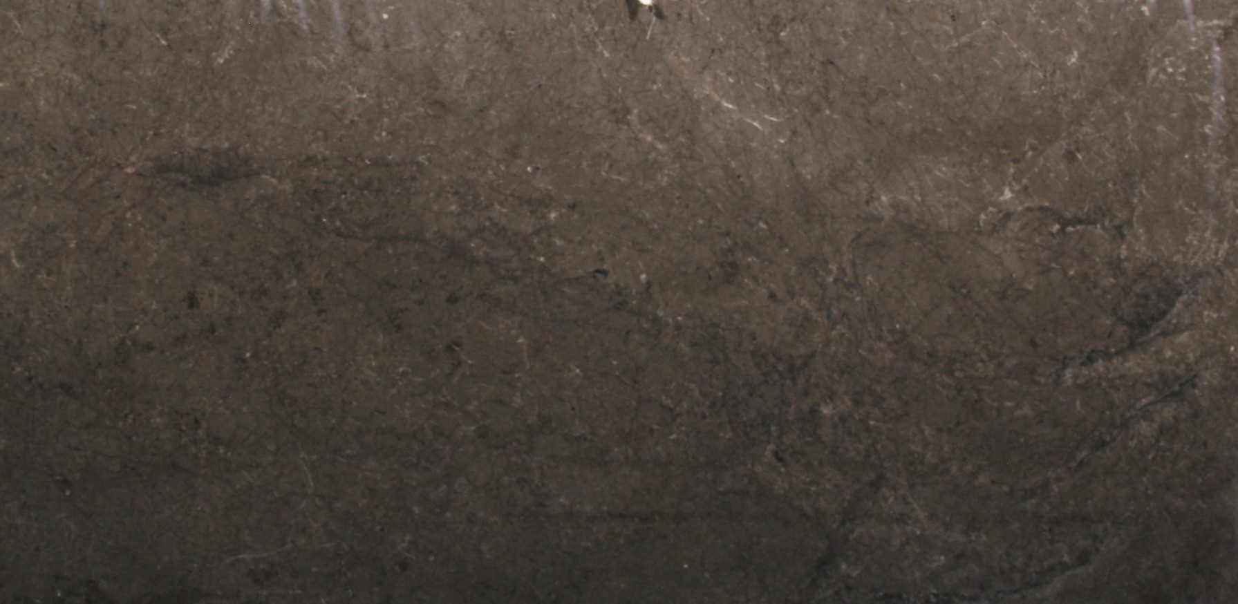 Oliver Gray - Gramarcal